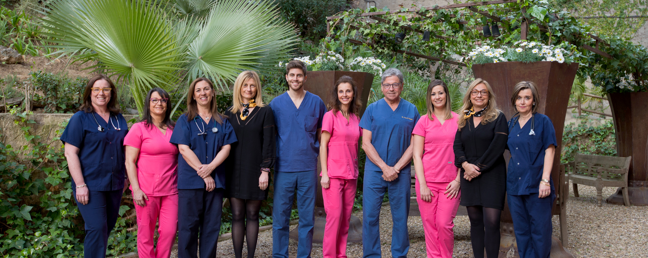 Home - Dr Pi implants